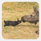 Diversity Square Stickers, Glossy, Large, 3 inch Square Sticker ...