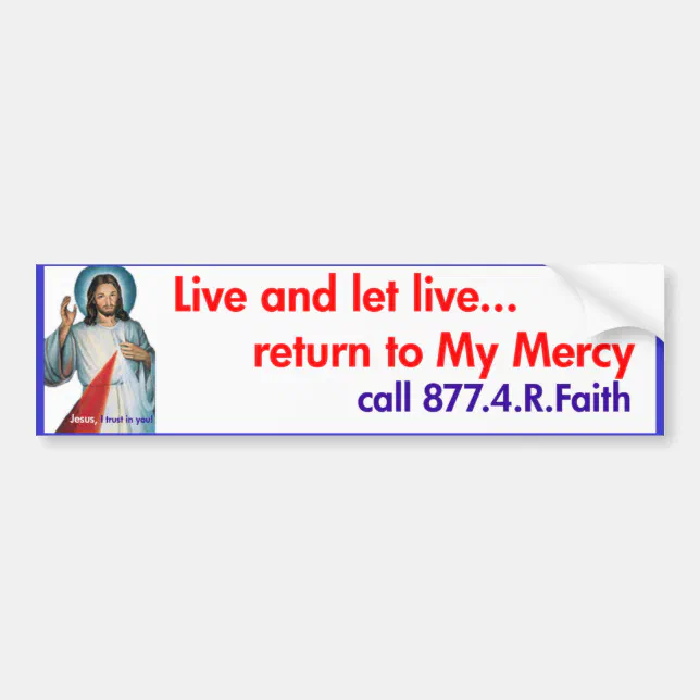 Divine Mercy bumper sticker | Zazzle