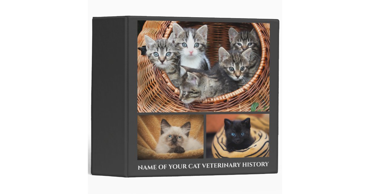 DIY instagram 3 photo | kitten kitty cat 3 Ring Binder | Zazzle