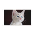 DIY Upload Your Photo Custom Blank Business Card | Zazzle