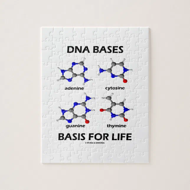 DNA Bases Basis For Life (Molecular Structure) Jigsaw Puzzle | Zazzle