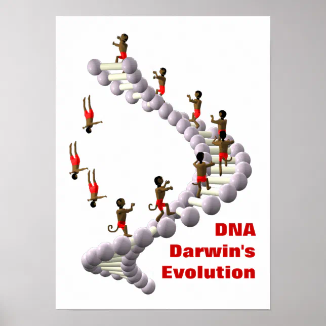 DNA Darwin's Evolution Poster | Zazzle