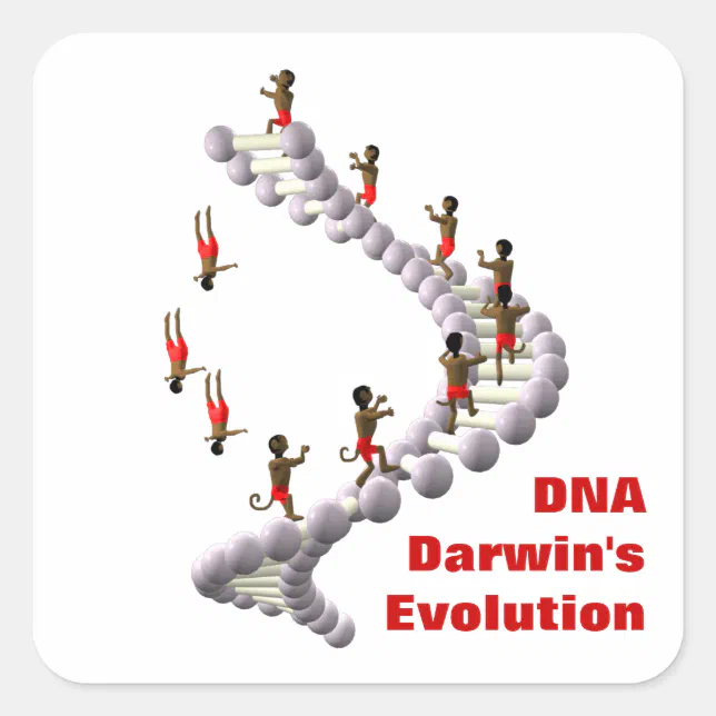 DNA Darwin's Evolution Square Sticker | Zazzle
