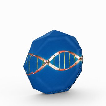 DNA Double Helix Award | Zazzle