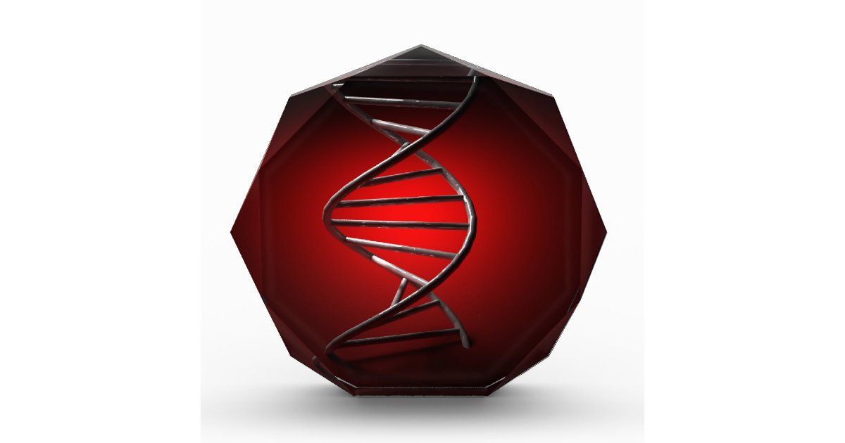 DNA Double Helix Award | Zazzle
