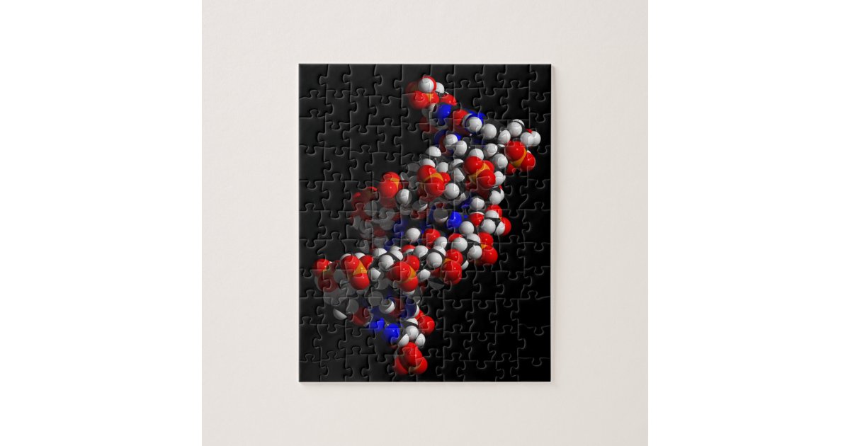 DNA Double Helix Model Jigsaw Puzzle | Zazzle