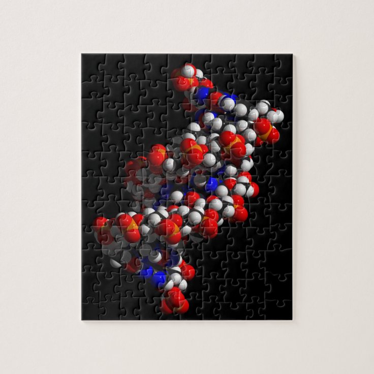 DNA Double Helix Model Jigsaw Puzzle | Zazzle