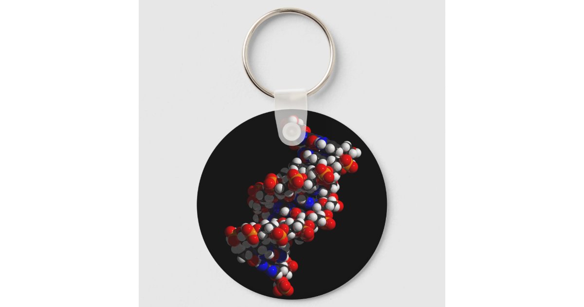 DNA Double Helix Model Keychain | Zazzle