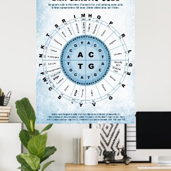 DNA Genetic Code Chart | Zazzle