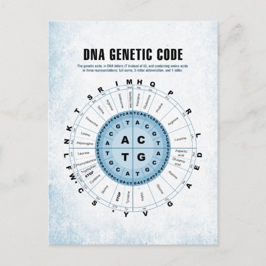 DNA Genetic Code Chart Postcard | Zazzle.com