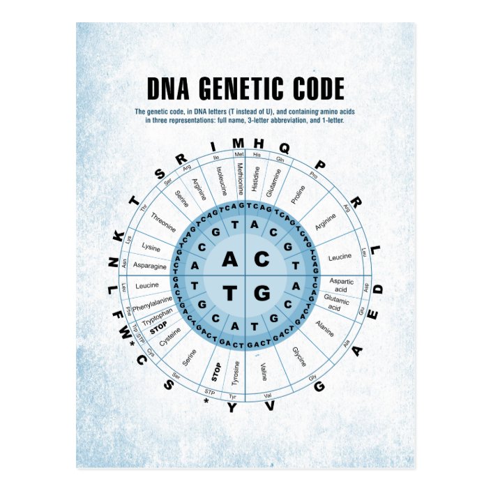 DNA Genetic Code Chart Postcard | Zazzle.com