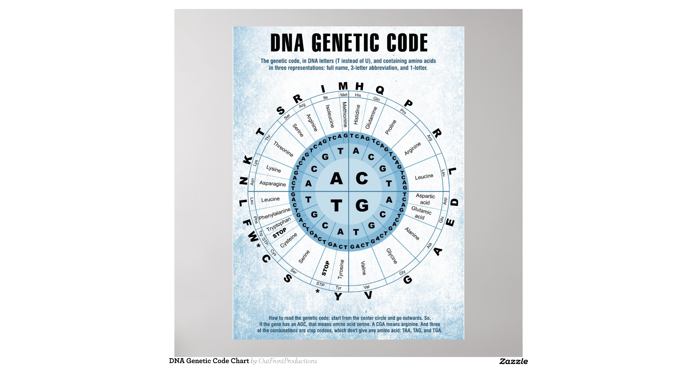 dna_genetic_code_chart_poster-r0fc60faa4b1549519262bd6e9a2f98ad_k25 ...