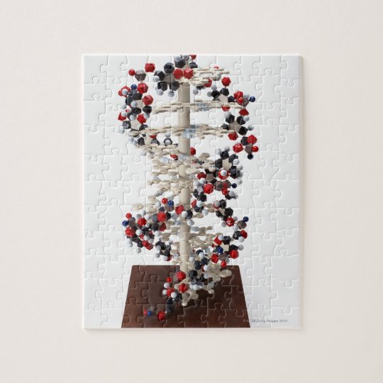 DNA Model Jigsaw Puzzle | Zazzle.com