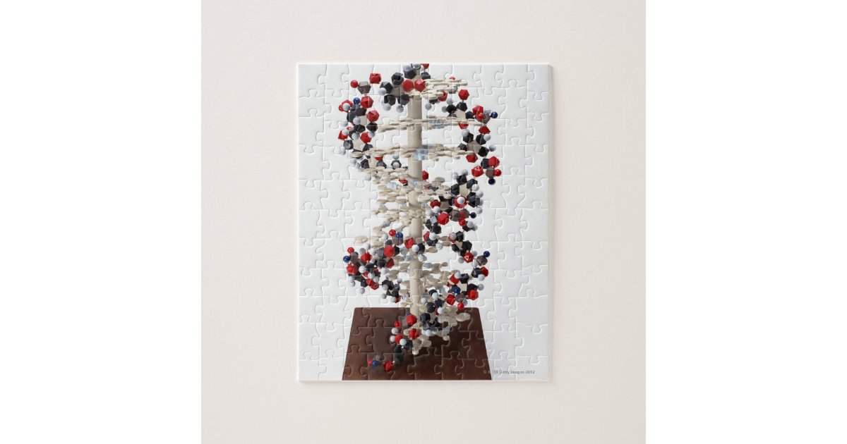 DNA Model Jigsaw Puzzle | Zazzle