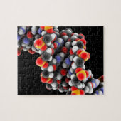 DNA molecule. Molecular model of DNA Jigsaw Puzzle | Zazzle