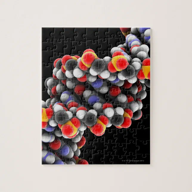 DNA molecule. Molecular model of DNA Jigsaw Puzzle | Zazzle