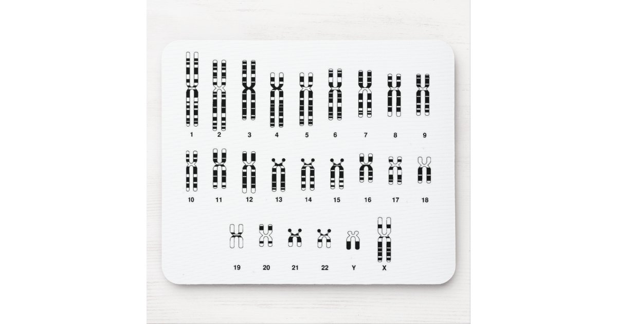 DNA mousepad | Zazzle
