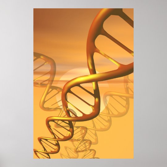 DNA poster | Zazzle.com