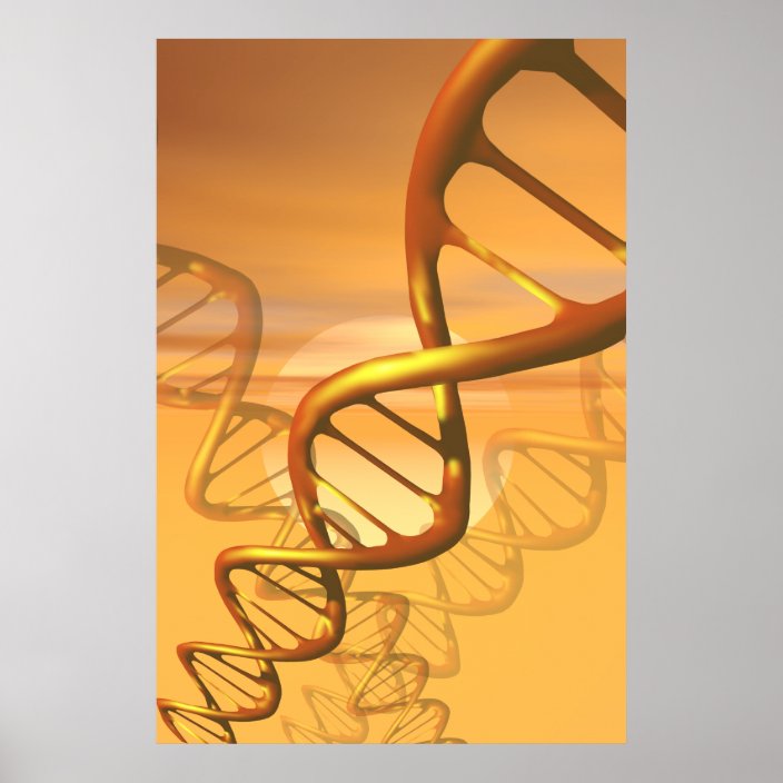 DNA poster | Zazzle.com