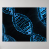 DNA POSTER | Zazzle