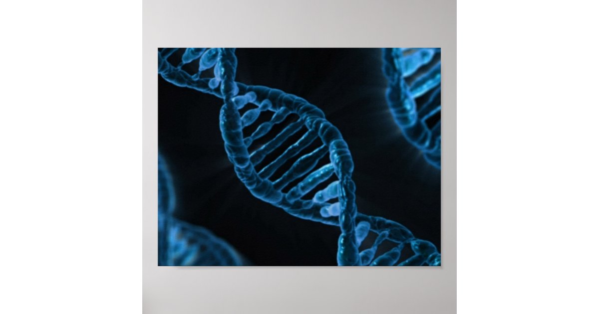 DNA POSTER | Zazzle