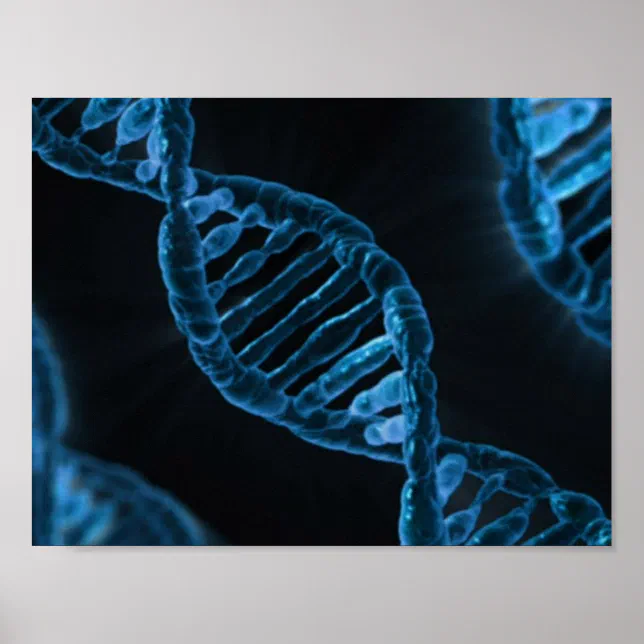 DNA POSTER | Zazzle
