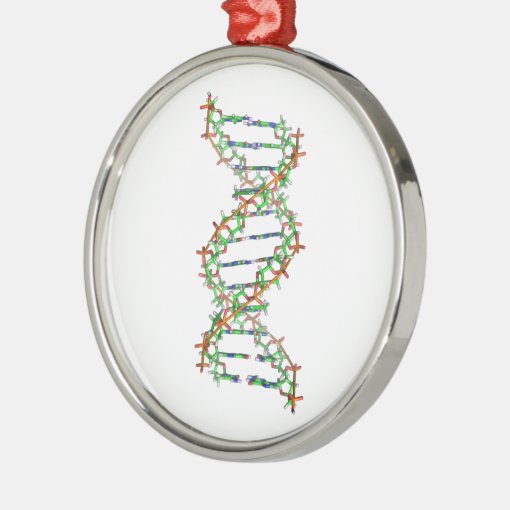 DNA - science/scientist/biology Metal Ornament | Zazzle