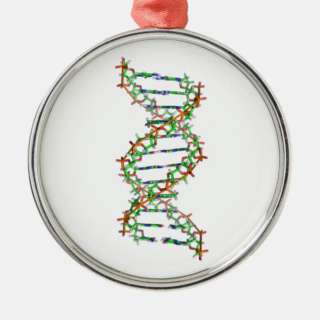 DNA - science/scientist/biology Metal Ornament | Zazzle