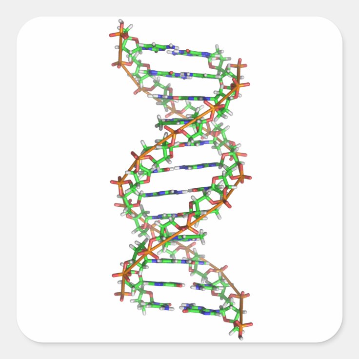 DNA - science/scientist/biology Square Sticker | Zazzle
