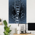 DNA strand Poster | Zazzle