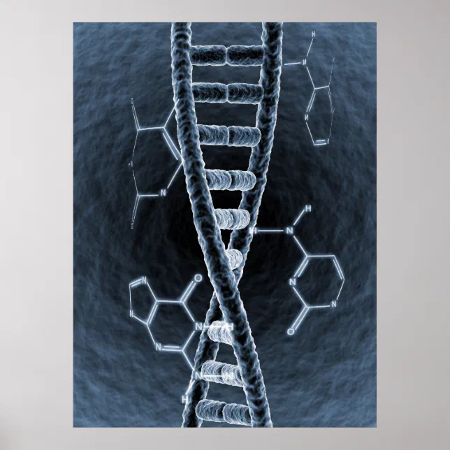 DNA strand Poster | Zazzle