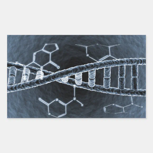 DNA strand Rectangular Sticker | Zazzle
