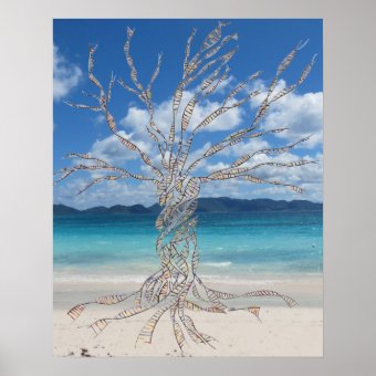 DNA TREE or Tree of Life at beach POSTER | Zazzle