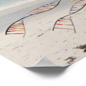 DNA TREE or Tree of Life at beach POSTER | Zazzle