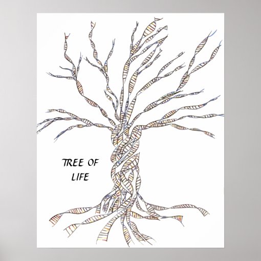 DNA TREE or Tree of Life POSTER BLUE | Zazzle