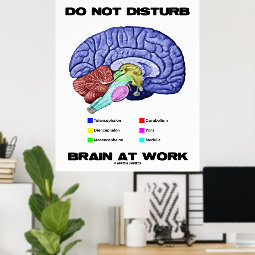 Do Not Disturb Brain At Work (Anatomical Humor) Poster | Zazzle