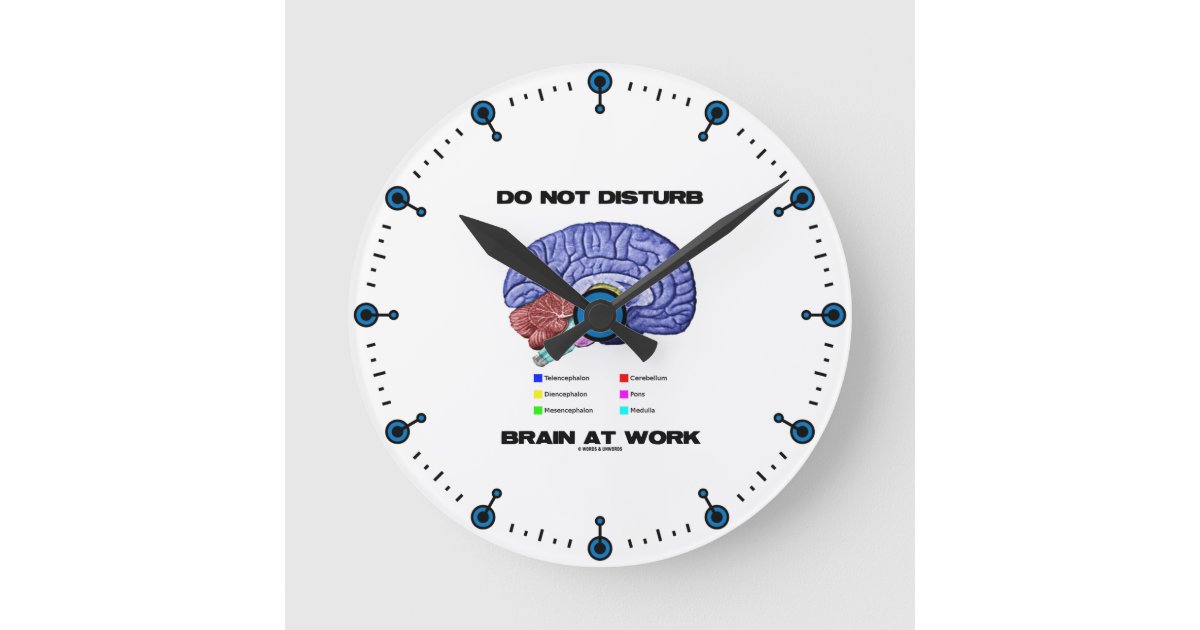 Do Not Disturb Brain At Work (Anatomical Humor) Round Clock | Zazzle