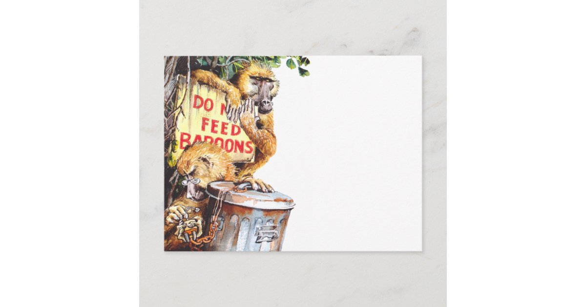 Do not feed baboon postcard | Zazzle