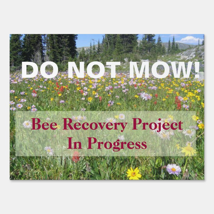 Do Not Mow Bee Recovery Project Sign | Zazzle.com