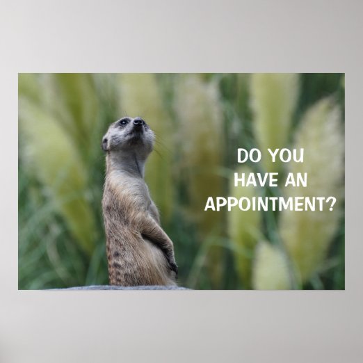 Appointment Posters & Photo Prints | Zazzle