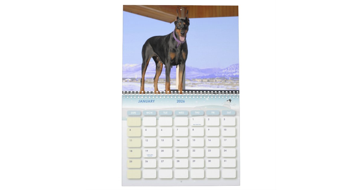 Doberman Calendar | Zazzle