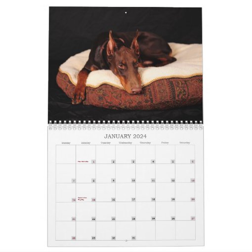 Doberman Calendar | Zazzle