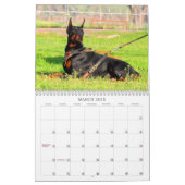 Doberman Calendar | Zazzle