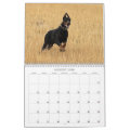 Doberman Calendar | Zazzle