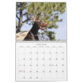 Doberman Calendar | Zazzle
