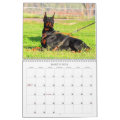 Doberman Calendar | Zazzle