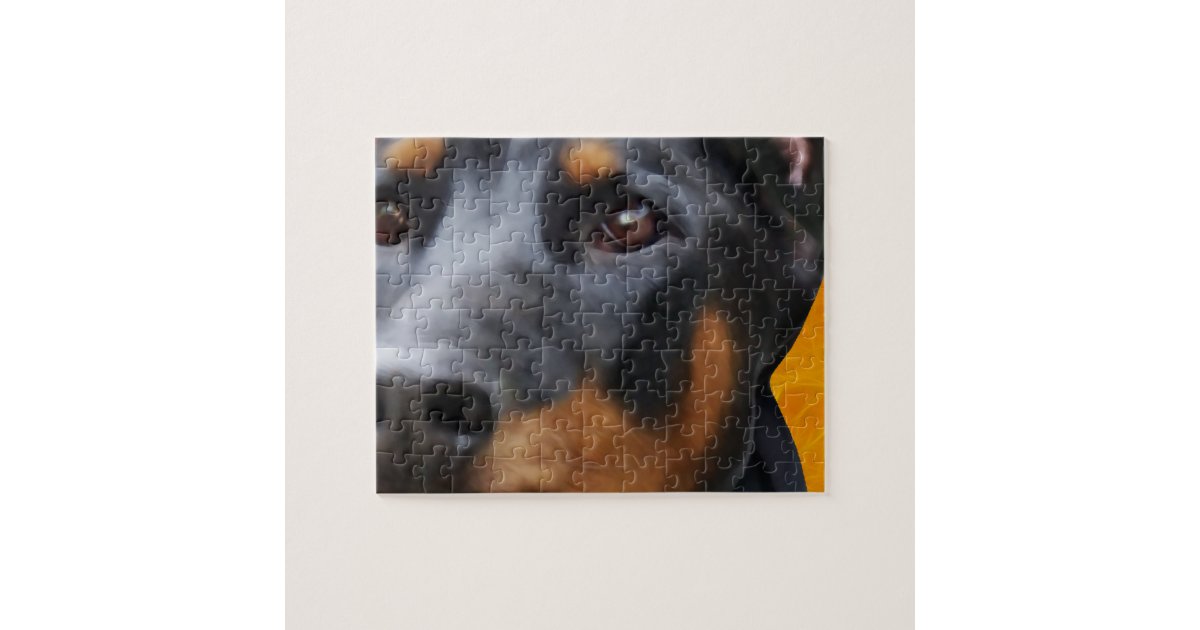 Doberman Close Up Jigsaw Puzzle | Zazzle