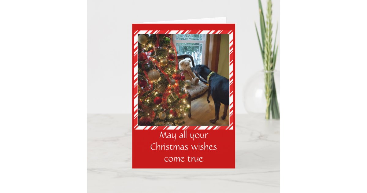 Doberman dog, Teddy Bear, Christmas greeting card | Zazzle