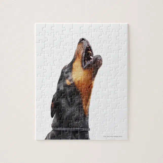 Doberman howling jigsaw puzzle | Zazzle