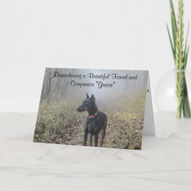 Doberman Pinscher Card | Zazzle